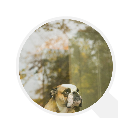 Products - FGS Glass