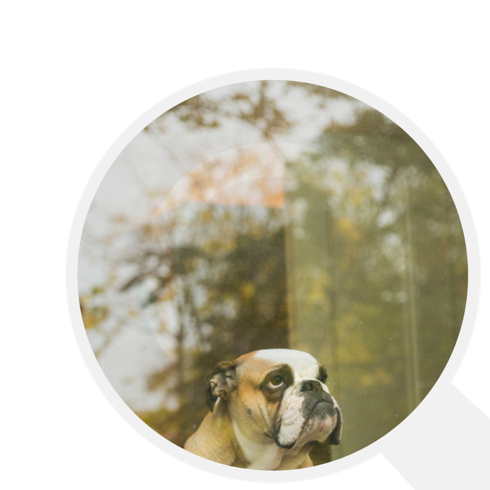 Products - FGS Glass